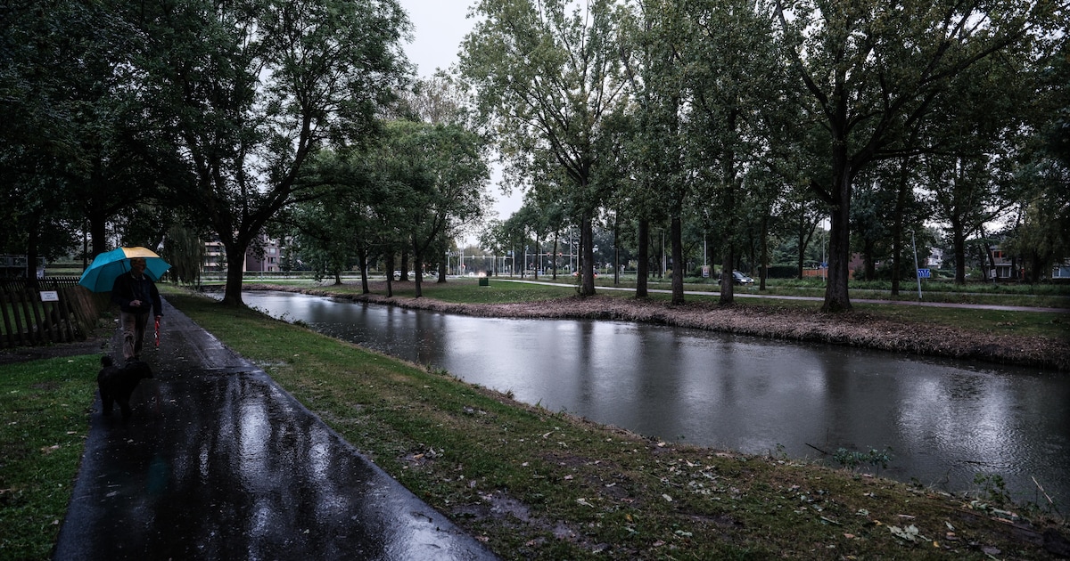 Wandelaars schrikken van kaalslag in park Rosorum in Zevenaar ...