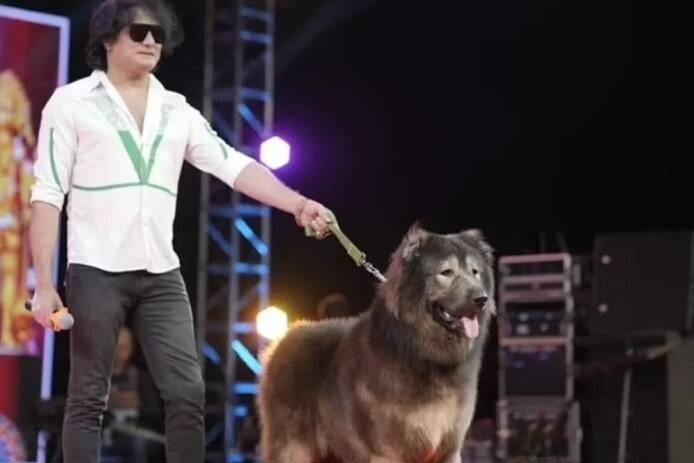 Duurste hond ter wereld verkocht, nieuwe eigenaar ziet er vooral geld in | Buitenland ...