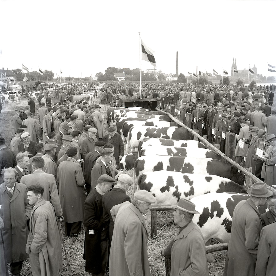 Duizenden historische foto’s uit Cuijk eind dit jaar voor iedereen te ...