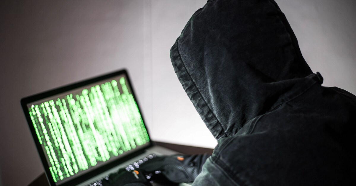 Nijmegenaar aangehouden om hacken Twitter-account van Tweede Kamerlid ...