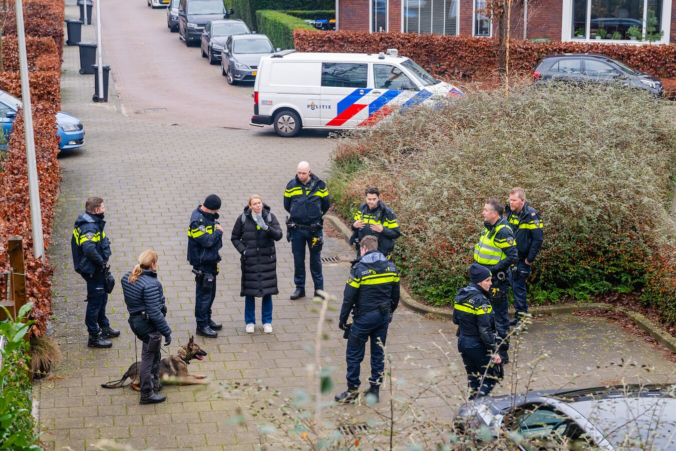 Politie kamt met honden en harken omgeving dodelijke steekpartij Den ...