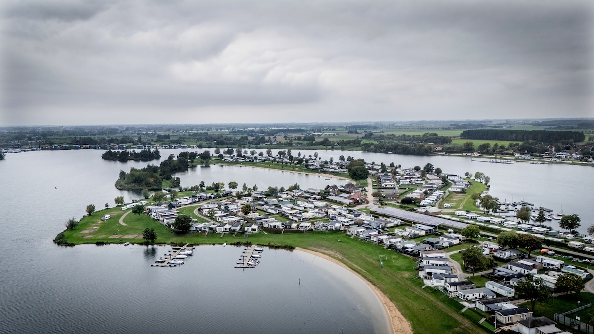 Deze West Maas en Waalse verhalen van 2025 lazen onze abonnees het ...