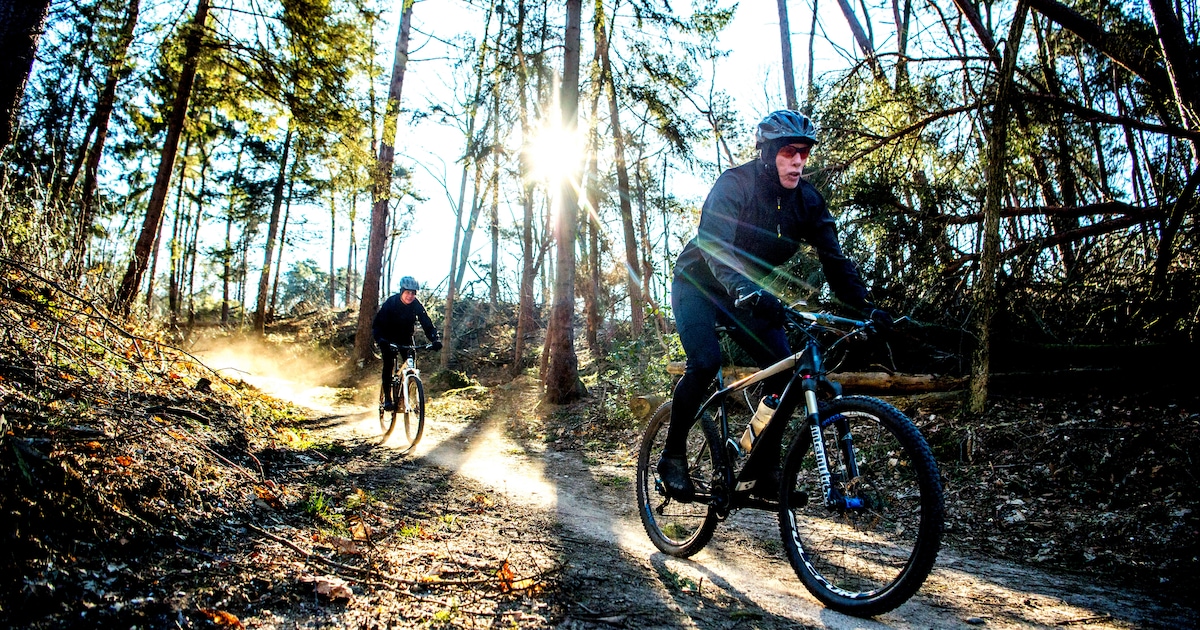 MTB’ers in bos: Jaap Dirkmaat doet weer poging ze te weren | Berg en ...