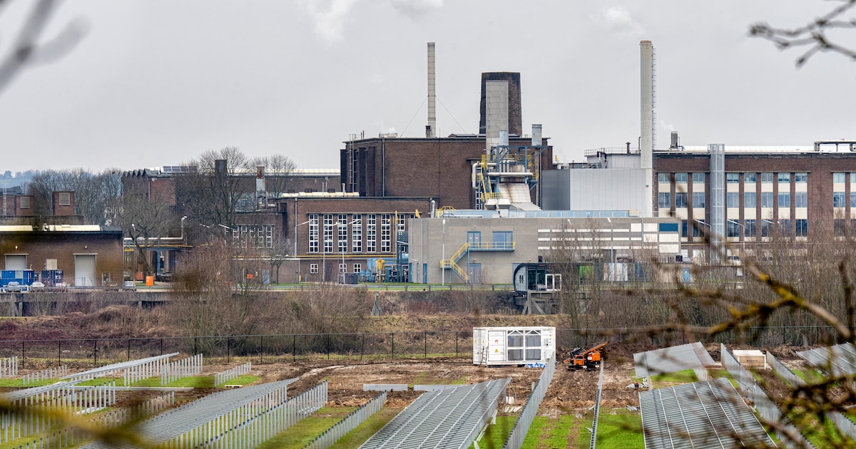 Biomassacentrale in Arnhem stoot weer te veel giftig gas uit: ‘Centrale ...