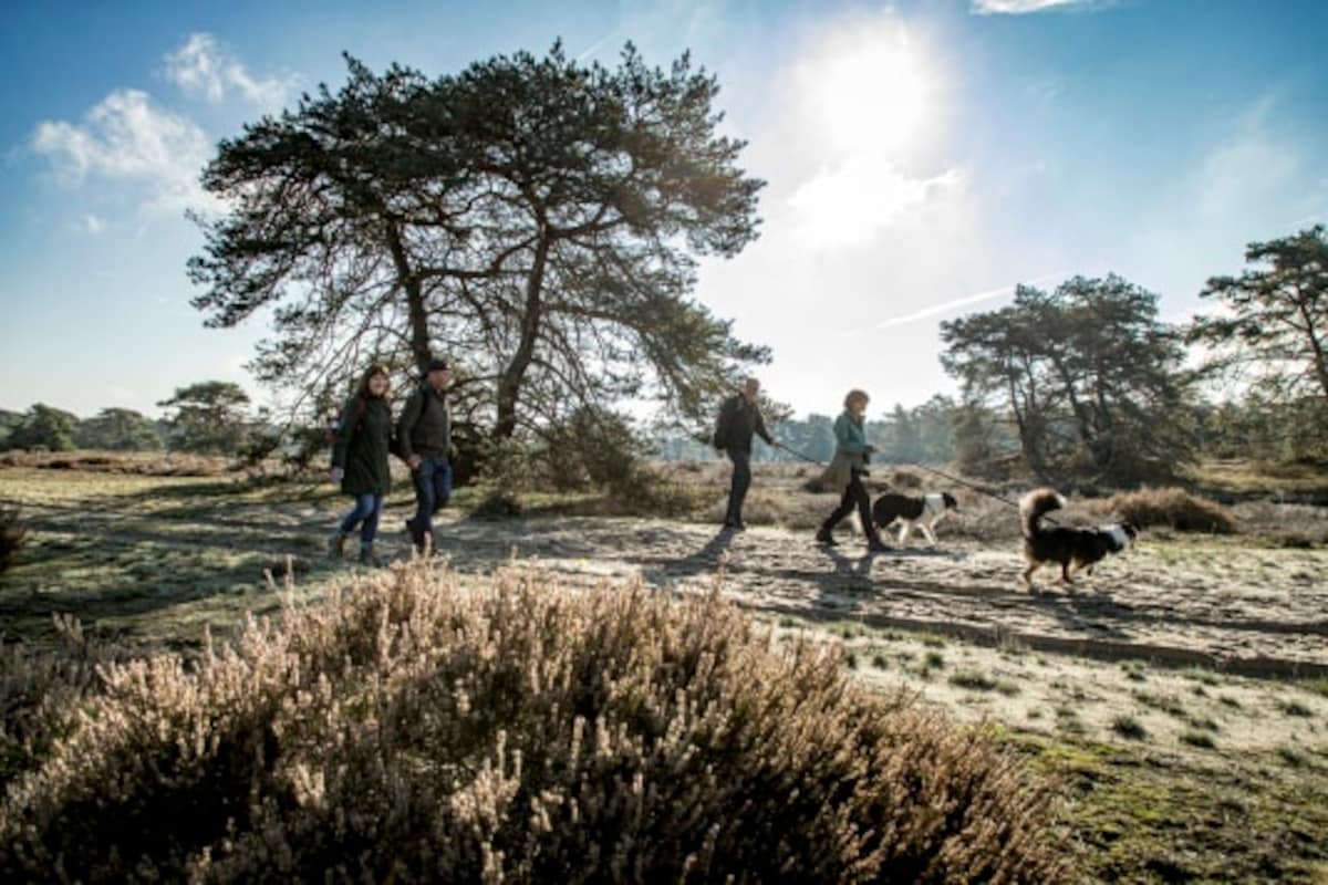 Nationaal Park Hoge Veluwe trok in 2025 opnieuw honderdduizenden mensen ...