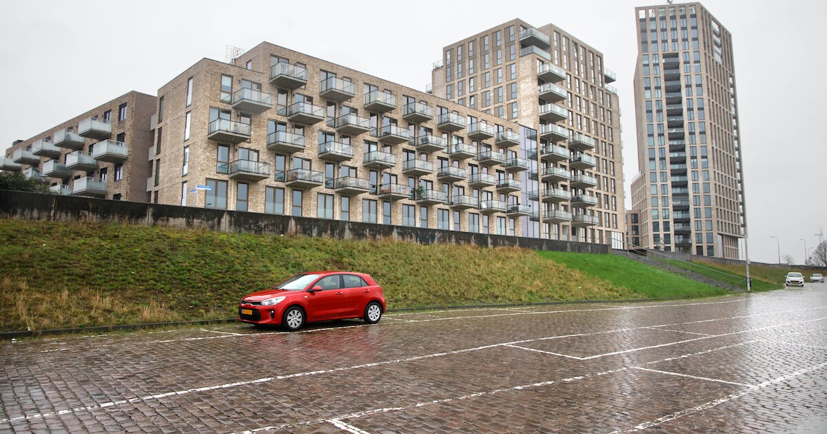 Eindelijk oplossing voor parkeerellende: bewoners krijgen tóch ...