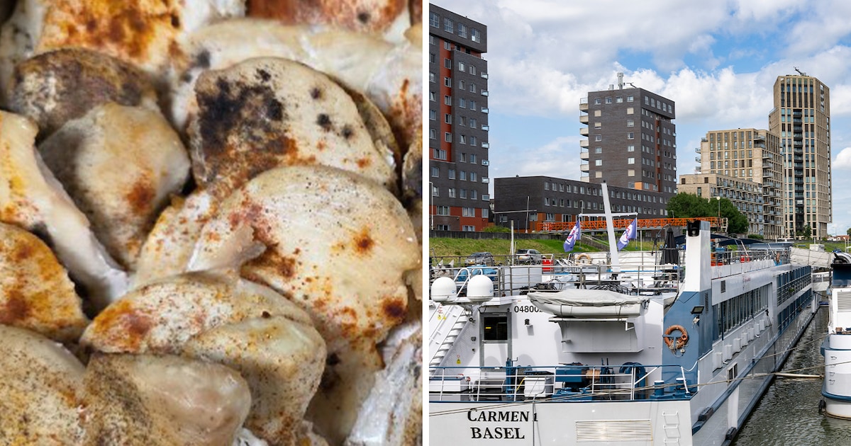 Rel rond ‘slecht’ eten op opvangschepen in Nijmegen: hoe zit dat nou en ...