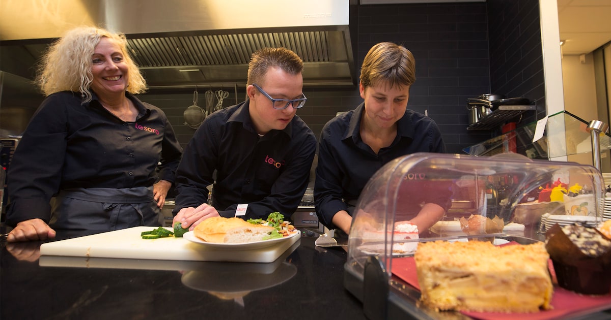 Elver wil meer verstandelijk beperkten aan het werk: van afwasser tot ...