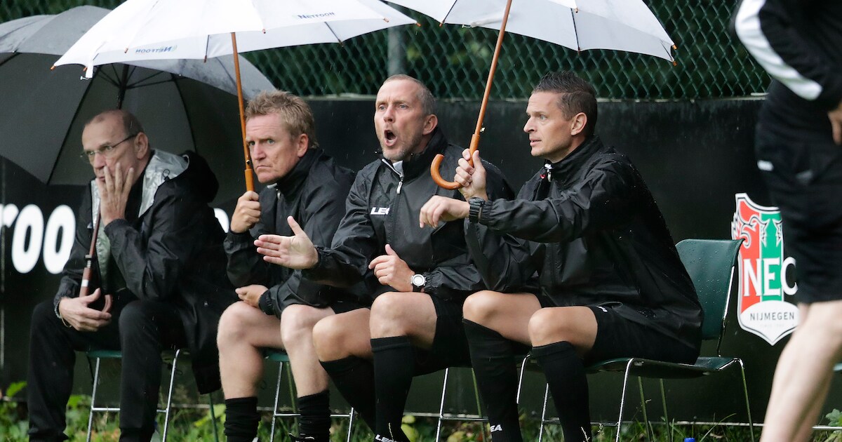 De drie trainers van NEC spreken dezelfde taal | NEC | De Gelderlander.nl