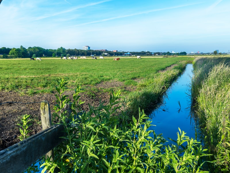 Stadsbestuur wil niets weten van alternatief windmolenplan in Utrechtse ...