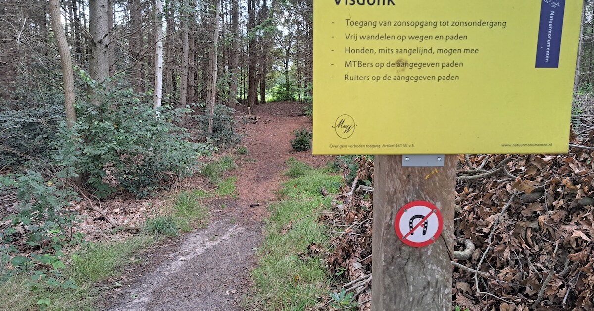 Schrik onder wandelaars groot na belagen vrouw in natuurgebied ...