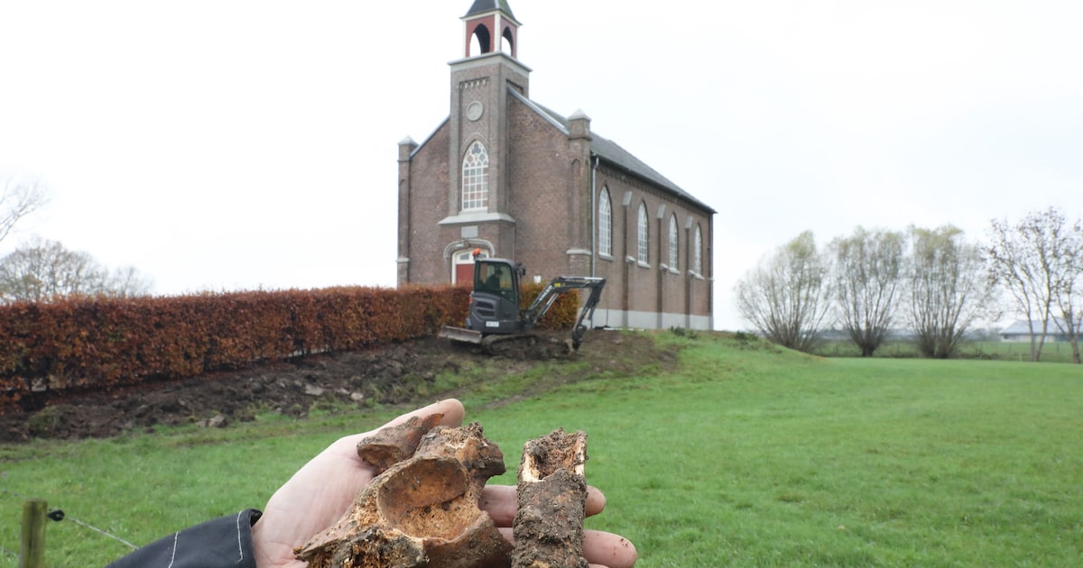 Archeologische verrassing bij kerkje Homoet: botresten gevonden ...
