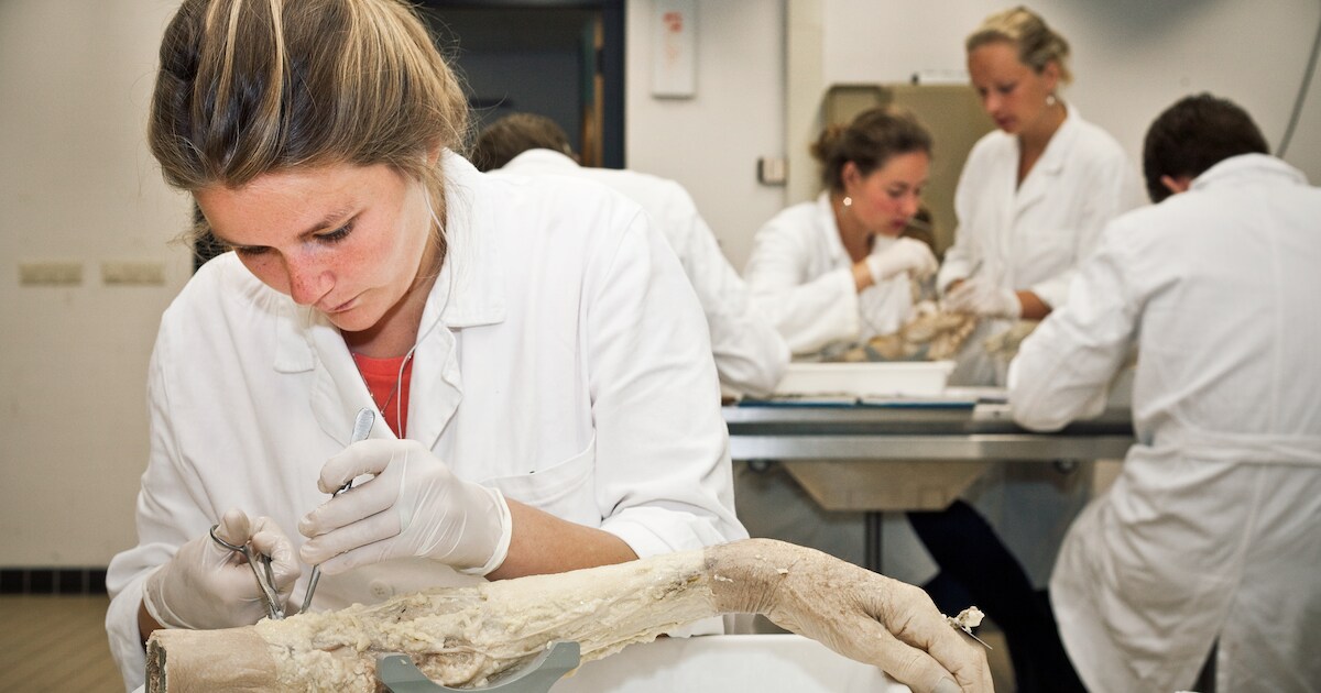 Radboud Universiteit wil weer loting voor opleiding geneeskunde, maar ...