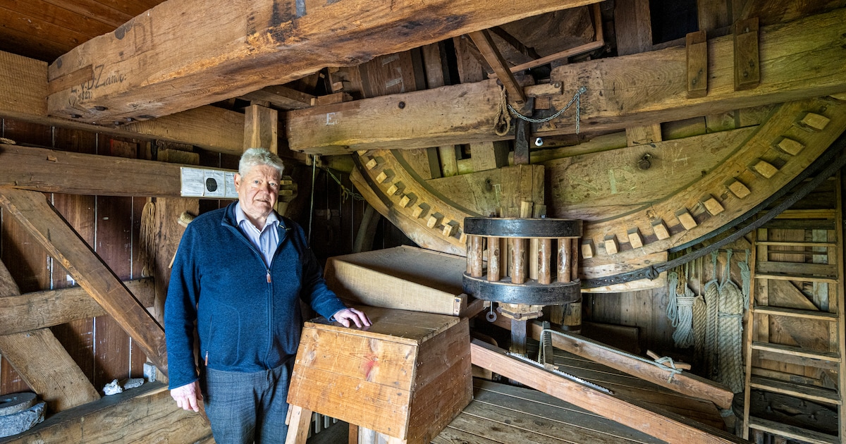 Spannende tijden voor molen De Vink in Herveld, waar houtworm en boktor ...