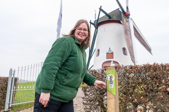 Het bijzondere verhaal van de molens: een speciaal eerbetoon met ...