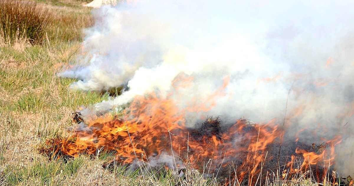 Rook trekt over woonwijk door brandend grasveld in Kaatsheuvel ...