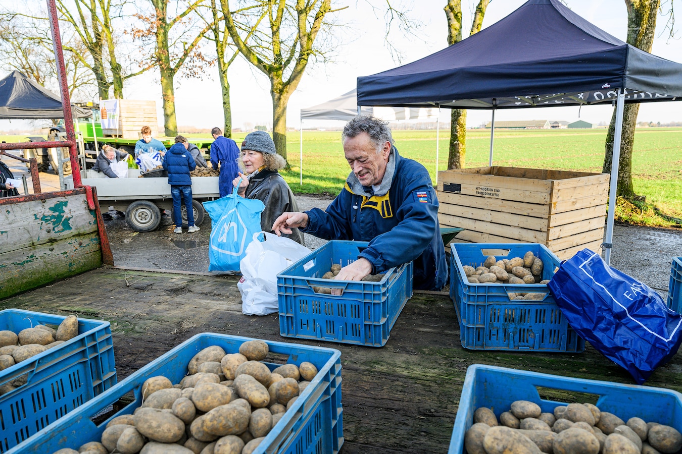 Honderden mensen redden vandaag 60.000 kilo ‘aardappelkneusjes’ op erf ...