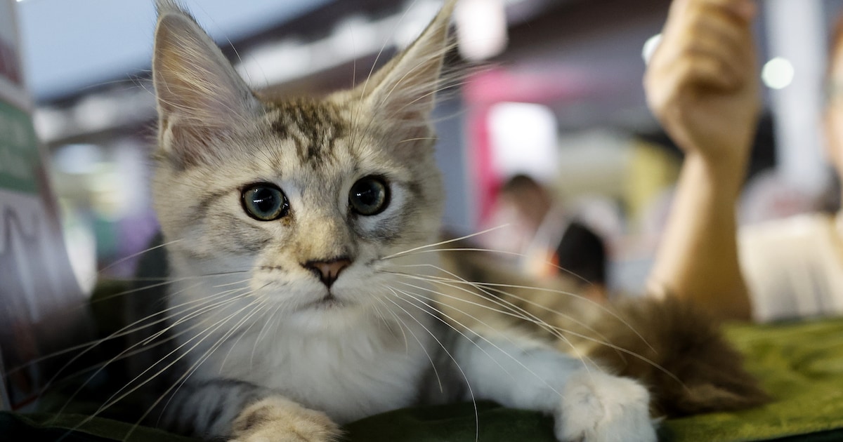 Het is echt niet met elkaar te vergelijken of je je eigen kind verliest ...