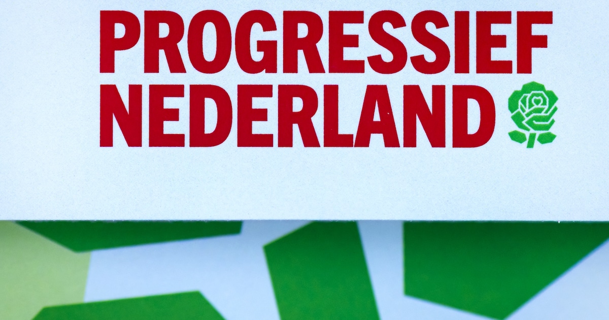 Beroep lokale PRO-partijen afgewezen: GroenLinks-PvdA mag PRO(gressief ...