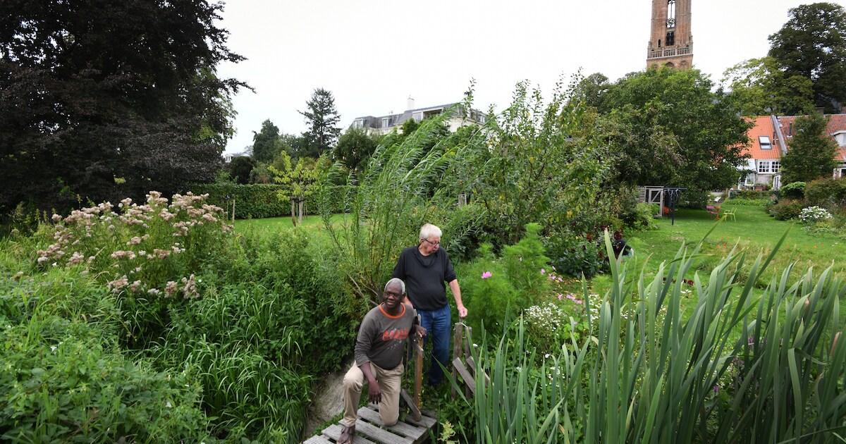 Jan strijdt al 30 jaar tegen stinkend ‘open riool’ met ratten, condooms ...