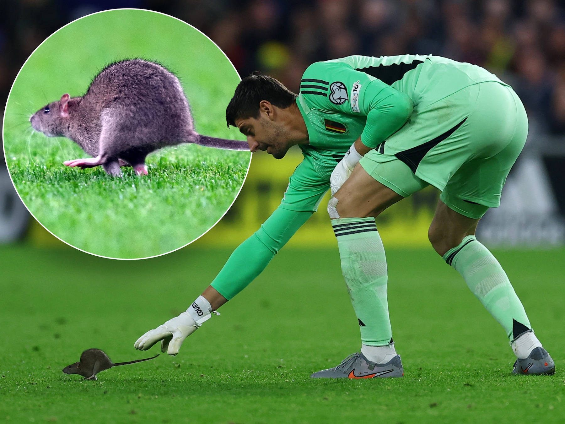 Activia verrast in eerste thuisduel met winst op landskampioen Sneek ...