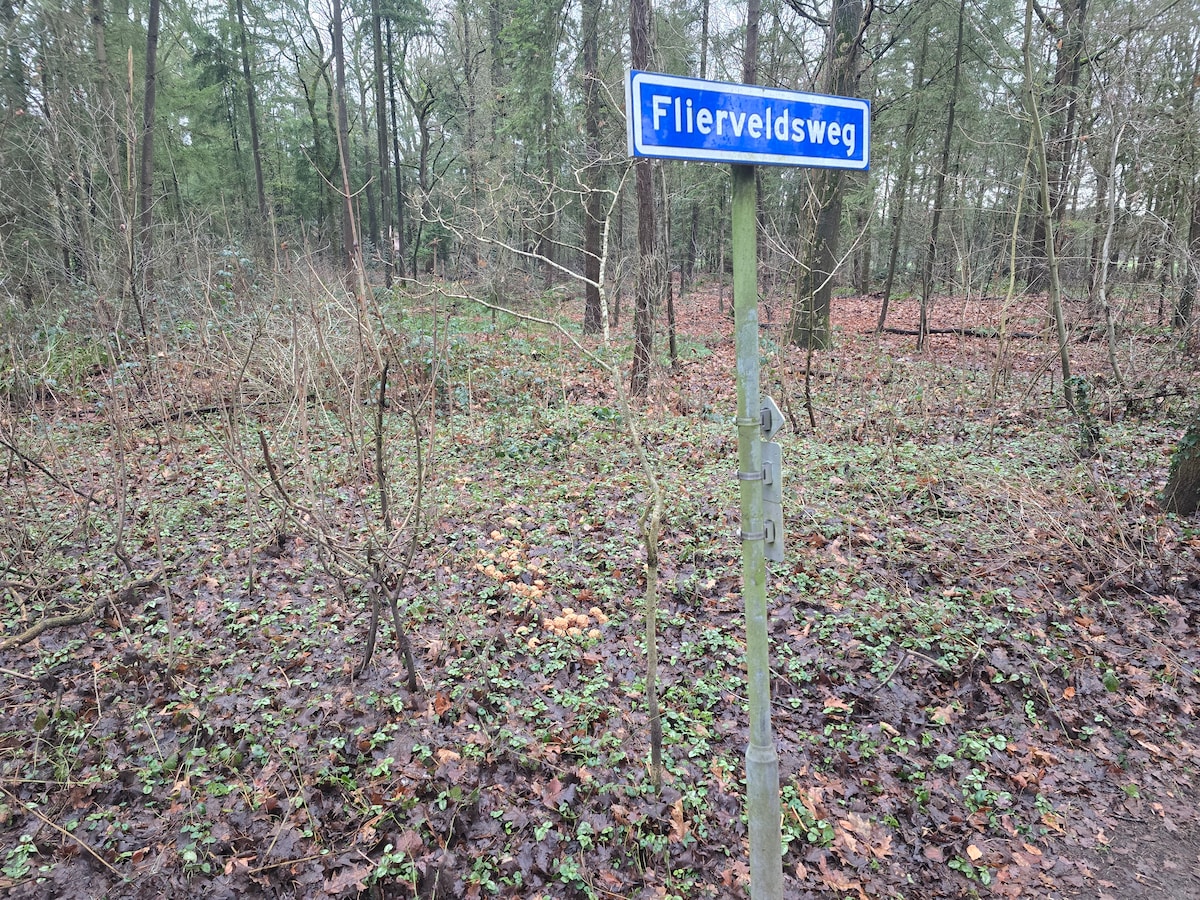 Delden zit met raadsel na oliebollenregen: ‘Het is te zot voor woorden ...