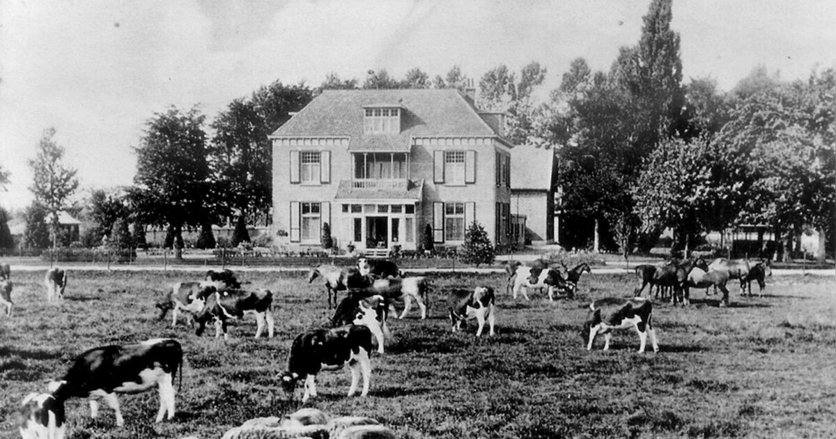 Als man een pand dezelfde naam geeft als het pand van zijn buurman ...