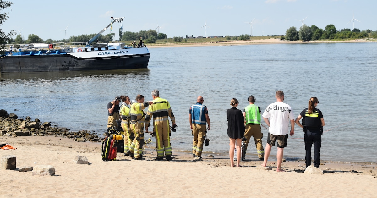 Zwemmer overleden na duik in de Waal in Zaltbommel, hulp komt te laat ...