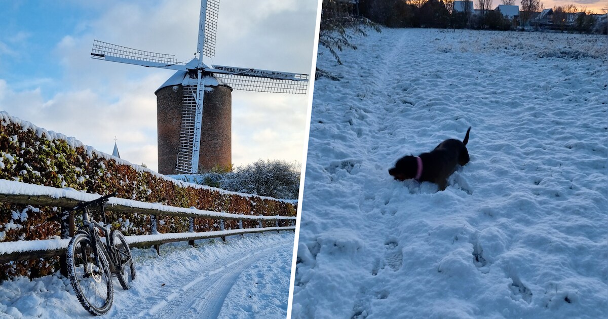 Winter Wonderland in de Achterhoek en Liemers: beelden van een ochtend ...