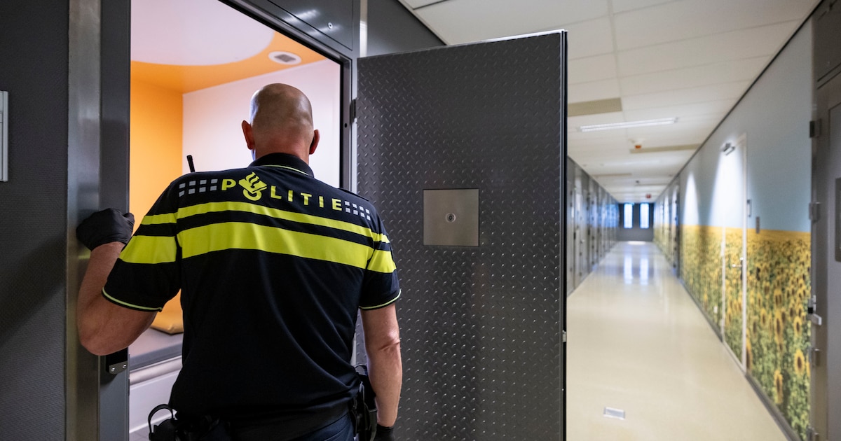 ‘We moesten met vijf man op hem zitten’: dit maken agenten mee rond de ...