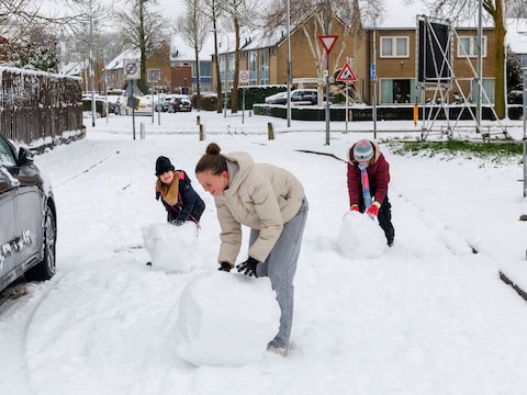 Willy had géén lot en loopt daarom 1,8 miljoen euro mis: ‘Natuurlijk is ...