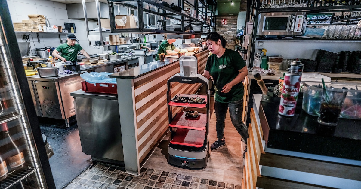Van leuke gadget naar noodzaak, robots aan tafel in de horeca ...
