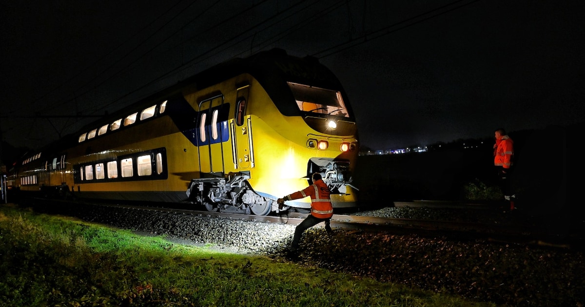Trein botst op auto, bestuurster en haar baby komen er wonderbaarlijk ...