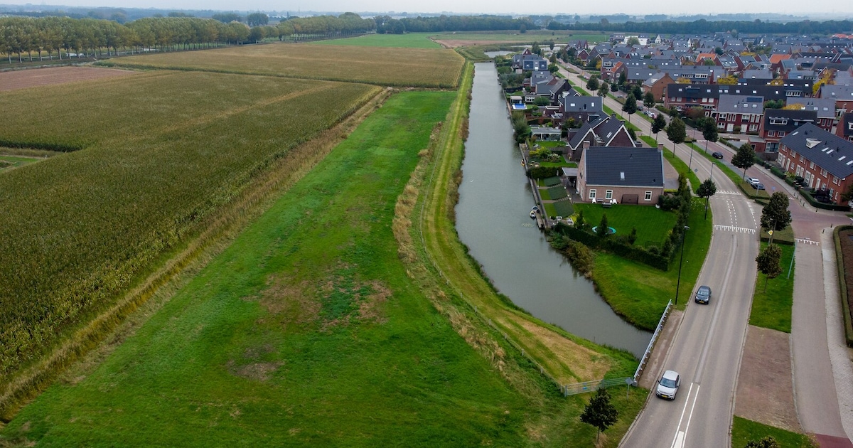 Na jaren ruzie over uitzicht en overlast hakt Raad van State knoop door ...