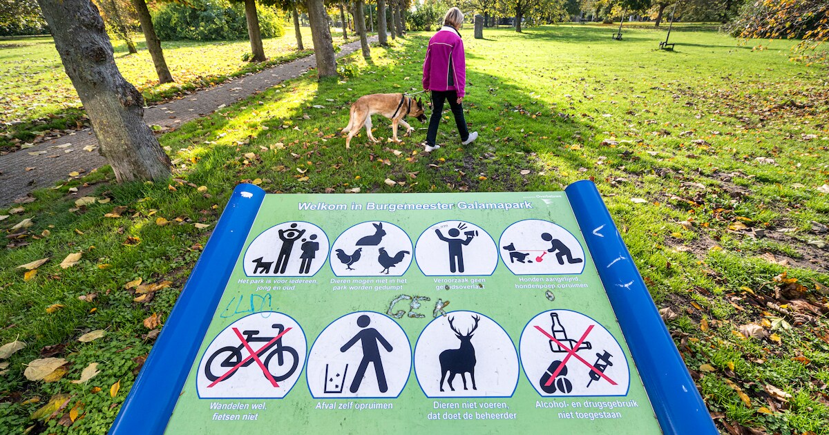 Vuurwerk, spugen en mishandeling: omwonenden van idyllisch park in Elst ...