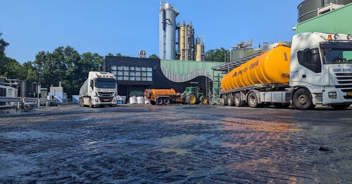 Grote silo raakt lek, weggestroomde slib zet terrein waterzuivering ...