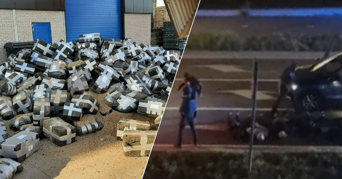 Reconstructie van krankzinnige 48 uur rond recordpartij coke van Bolle ...