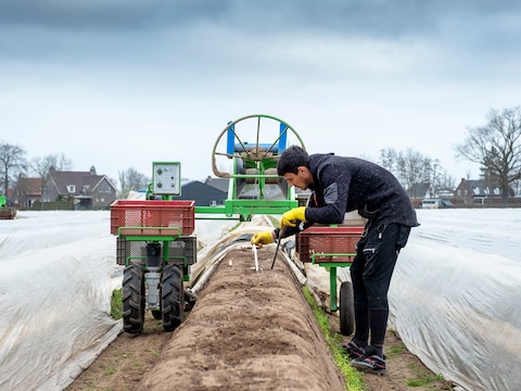 Nieuwe wet dwingt bedrijven om achterstallig loon te betalen | Nieuws ...