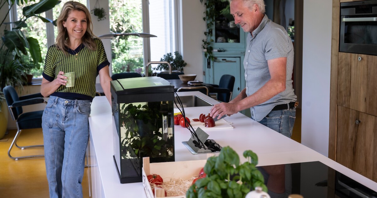 Wietske en Yuri keken zomaar wat op Funda, nu hebben ze een oude dijkwoning volledig verbouwd ...