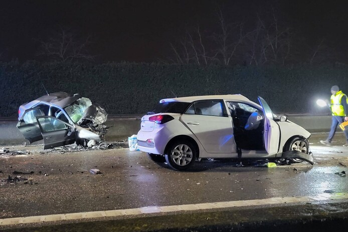 Spookrijder (42) en bestuurster (60) overlijden bij frontale botsing op snelweg, echtgenoot (60 ...