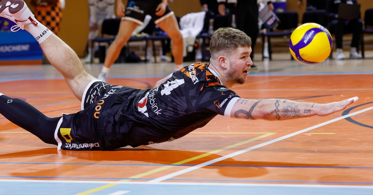 Sloveense spelverdeler voor Orion Stars | Sport | De Gelderlander.nl