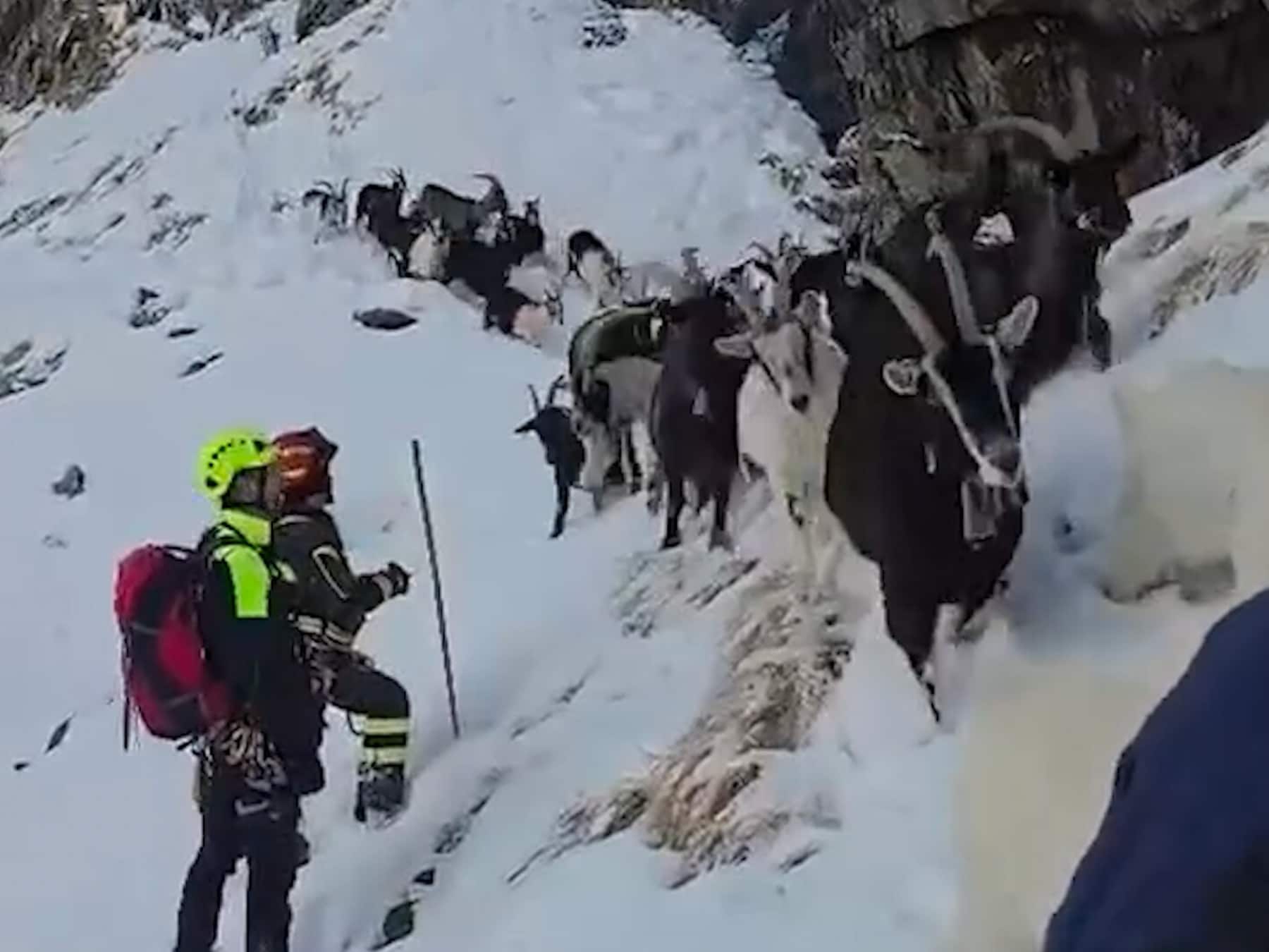 Uitbreiding Lidl in centrum Wijchen van start, winkel gaat straks ...
