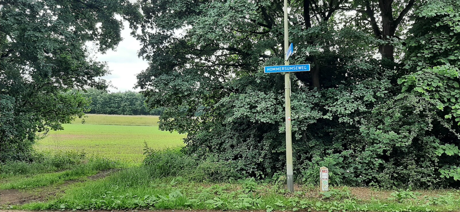 Gennep koopt een lap grond in Heijen en dat is niet zo simpel als het ...