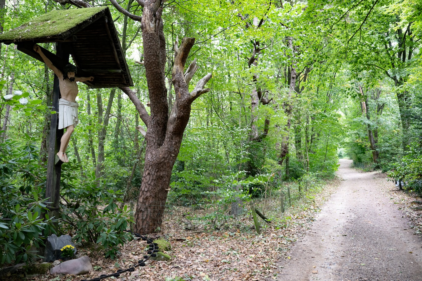 Alles bij deze sekte op een bungalowpark draait om Frank: ‘Hij liet mij totaal verliefd worden ...