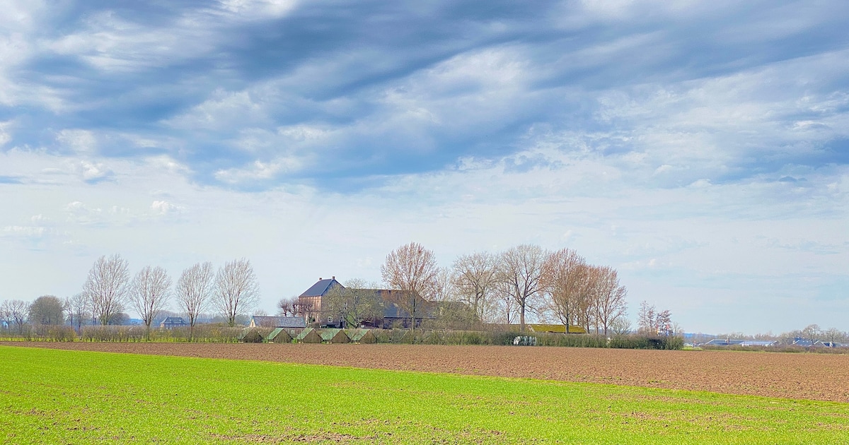 Markante Millingse boerderij Zeelandsche Hof mag veranderen in ...