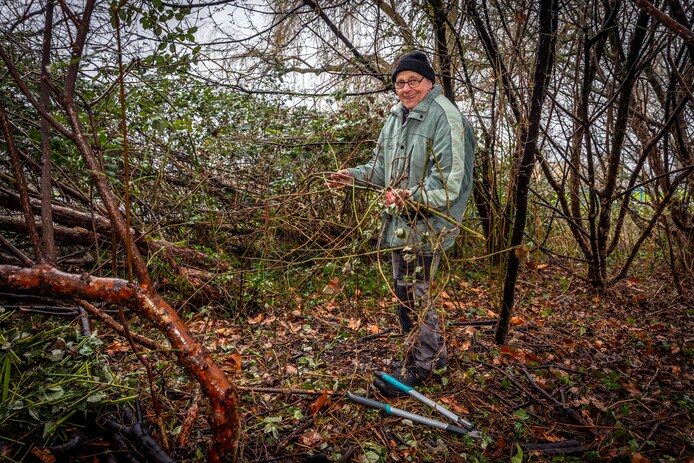 Als Frank (77) tijdens het snoeien niet luistert, wordt hij in de ...