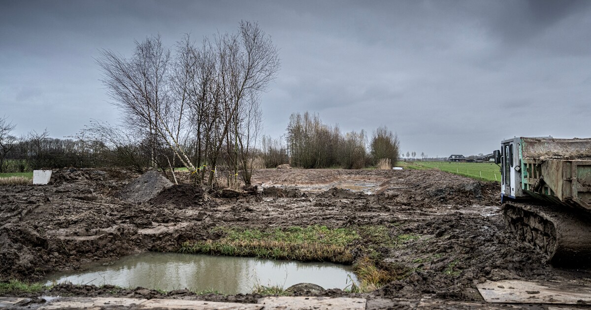 Dreumel krijgt eerste klimaatbuffer, tot vreugde van de oeverwallen ...