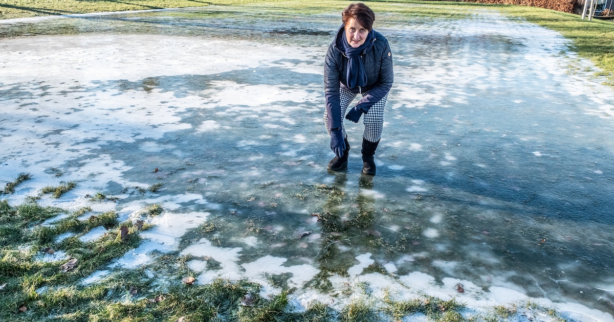 Al dagen vriezen je handen eraf, maar schaatsen kan (bijna) nergens ...