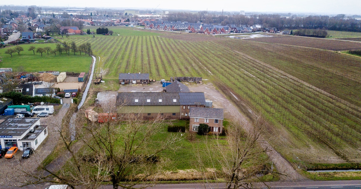 Litjens claimt meer dan een half miljoen bij gemeente Druten: ‘De ...