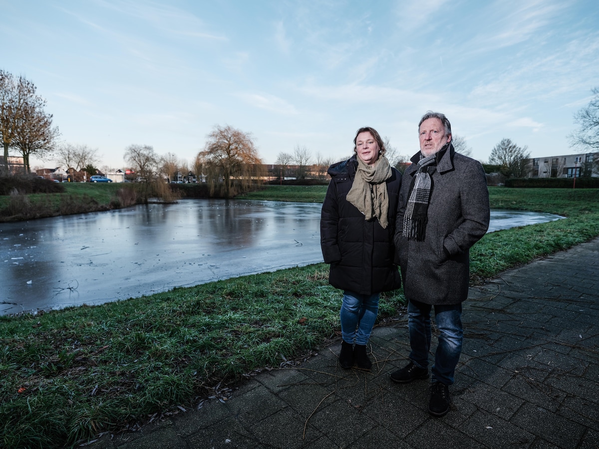 Omwonenden volgen Albert Heijn-soap over vijver met interesse: ‘Een ...